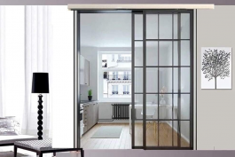 Magnet Door
